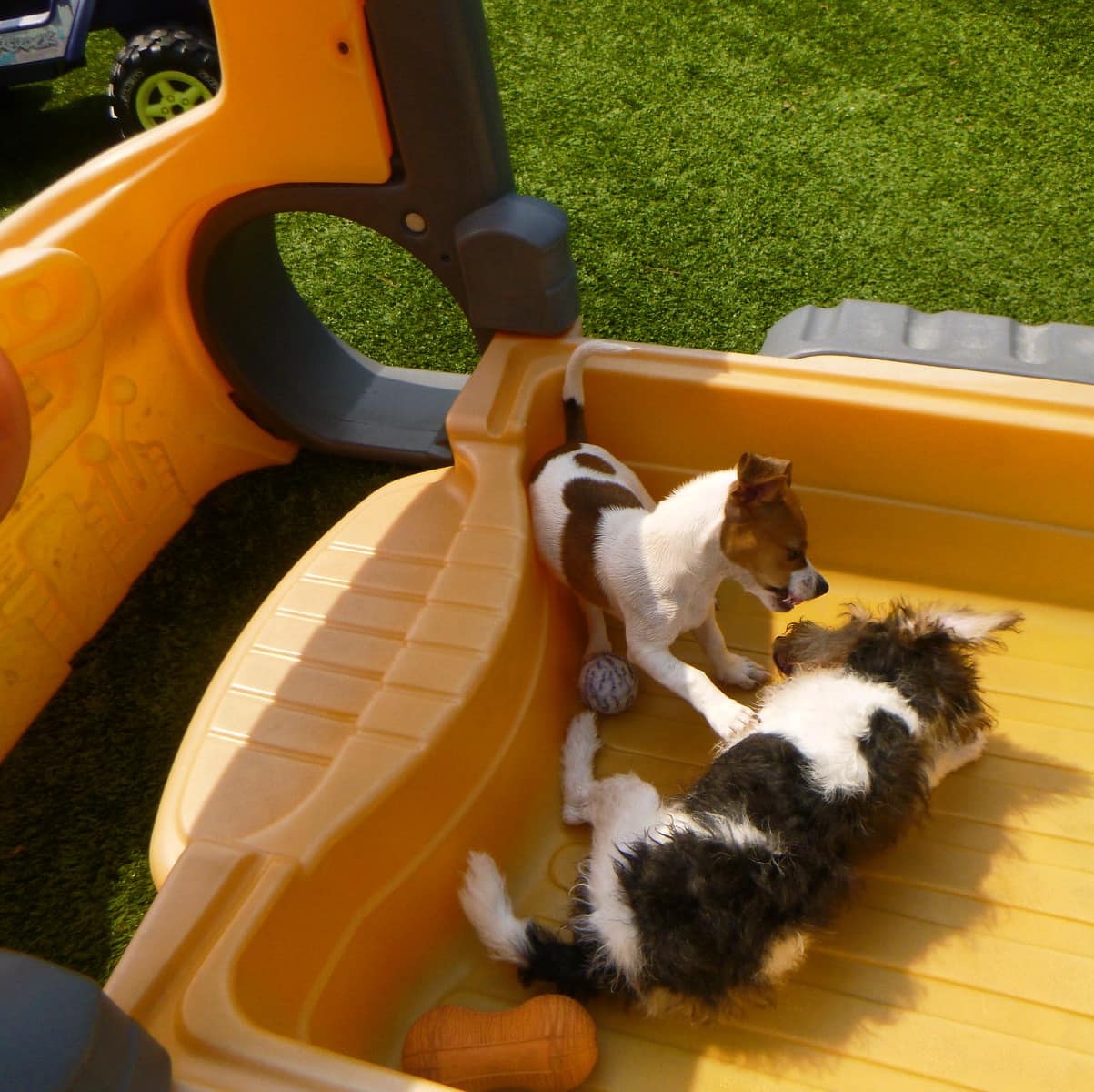 Doglogic – Dog Training Tips and Tricks